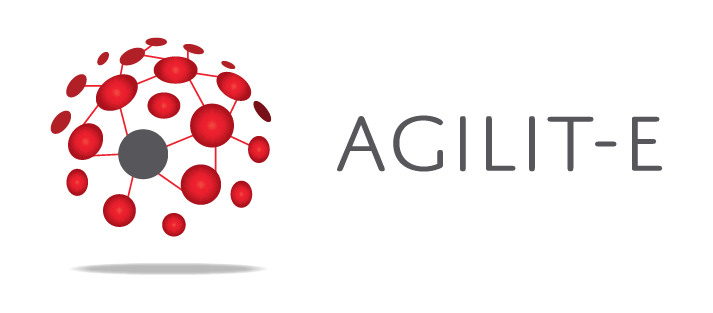 Agilit-e Admin Portal